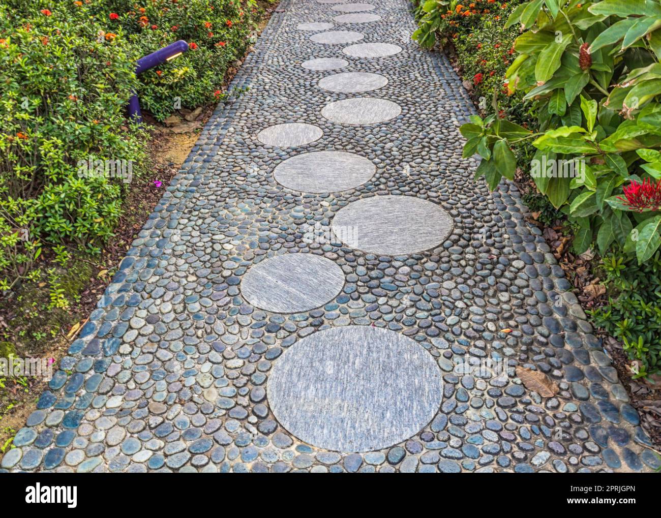 Decorative garden path of gray pebbles Stock Photo - Alamy