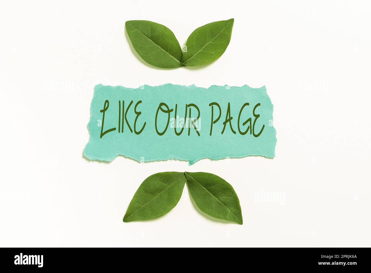 Sign displaying Like Our Page, Business idea Follow us on the internet ...