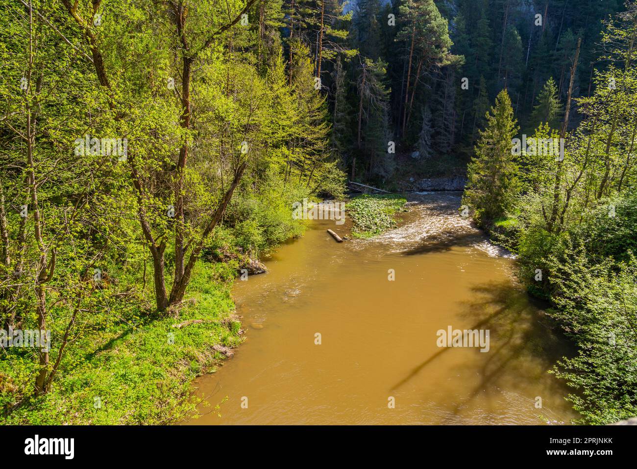 Hornad River near Tomasovsky in the Hornad valley in Slovak Paradise ...