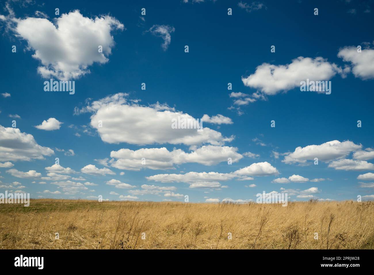 beautiful landscape of blue sky with clouds and field in Ukraine Stock ...