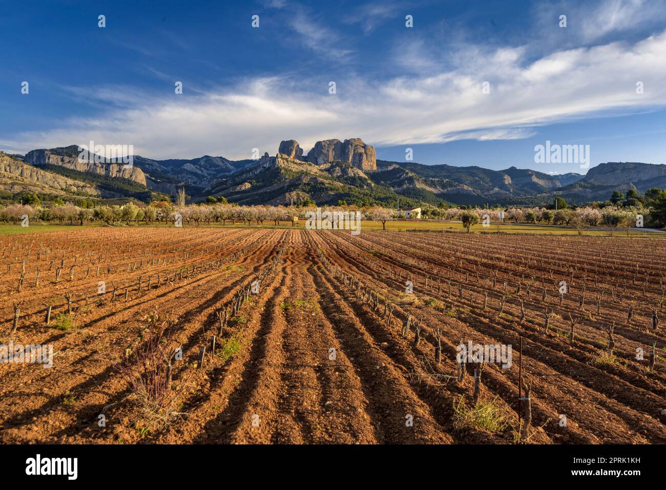 Campo de rocas hi-res stock photography and images - Alamy