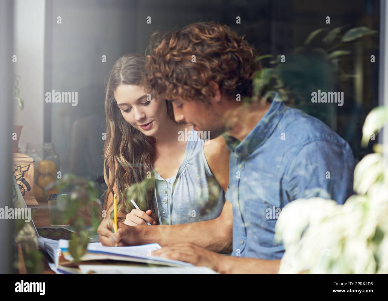 Getting ready for their exams. a young couple studying together in a coffee shop Stock Photo - Alamy