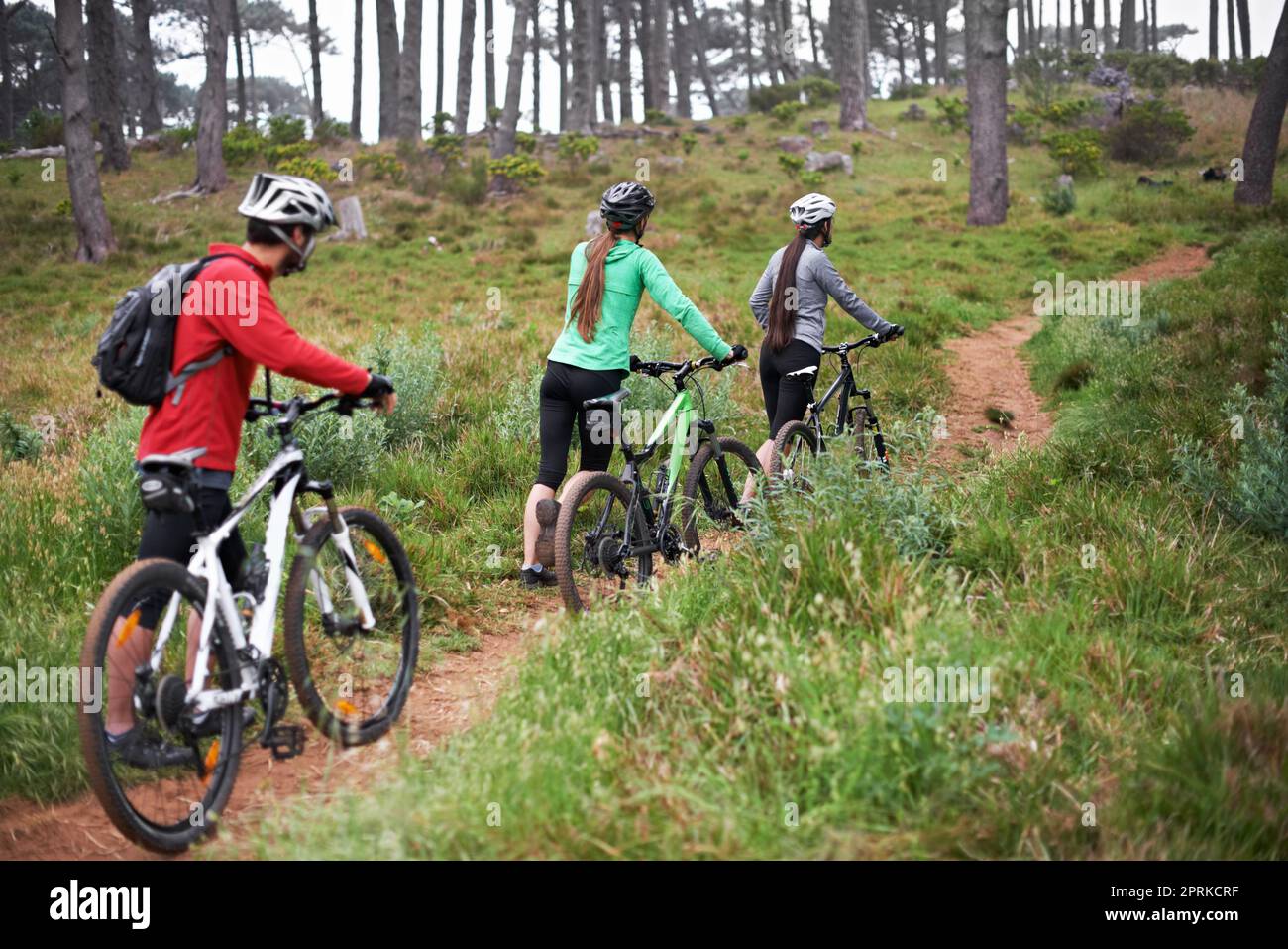 On the right path to fitness. A group of young cyclists pushing the ...