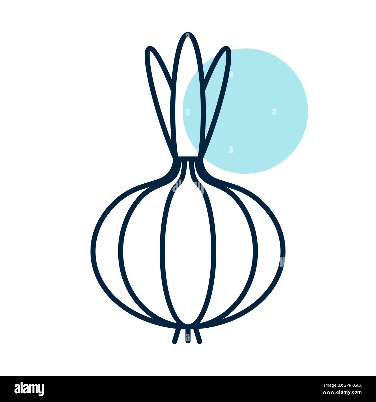Onion isolated design vector icon. Vegetable sign. Graph symbol for ...