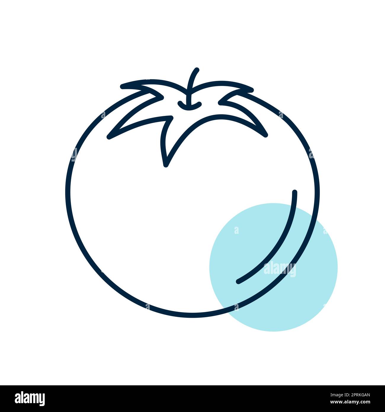 Tomato isolated design vector icon. Vegetable sign. Graph symbol for ...