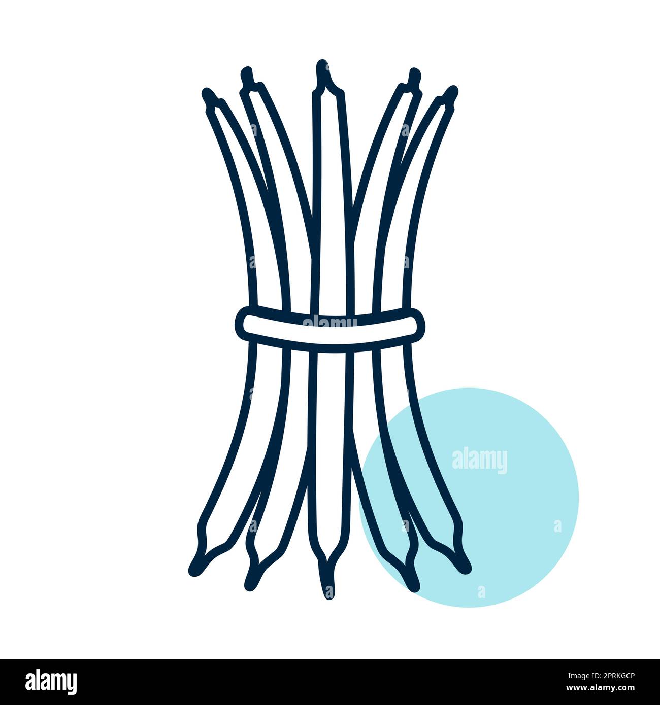 Green beans bound sheaf isolated vector icon. Vegetable sign. Graph ...