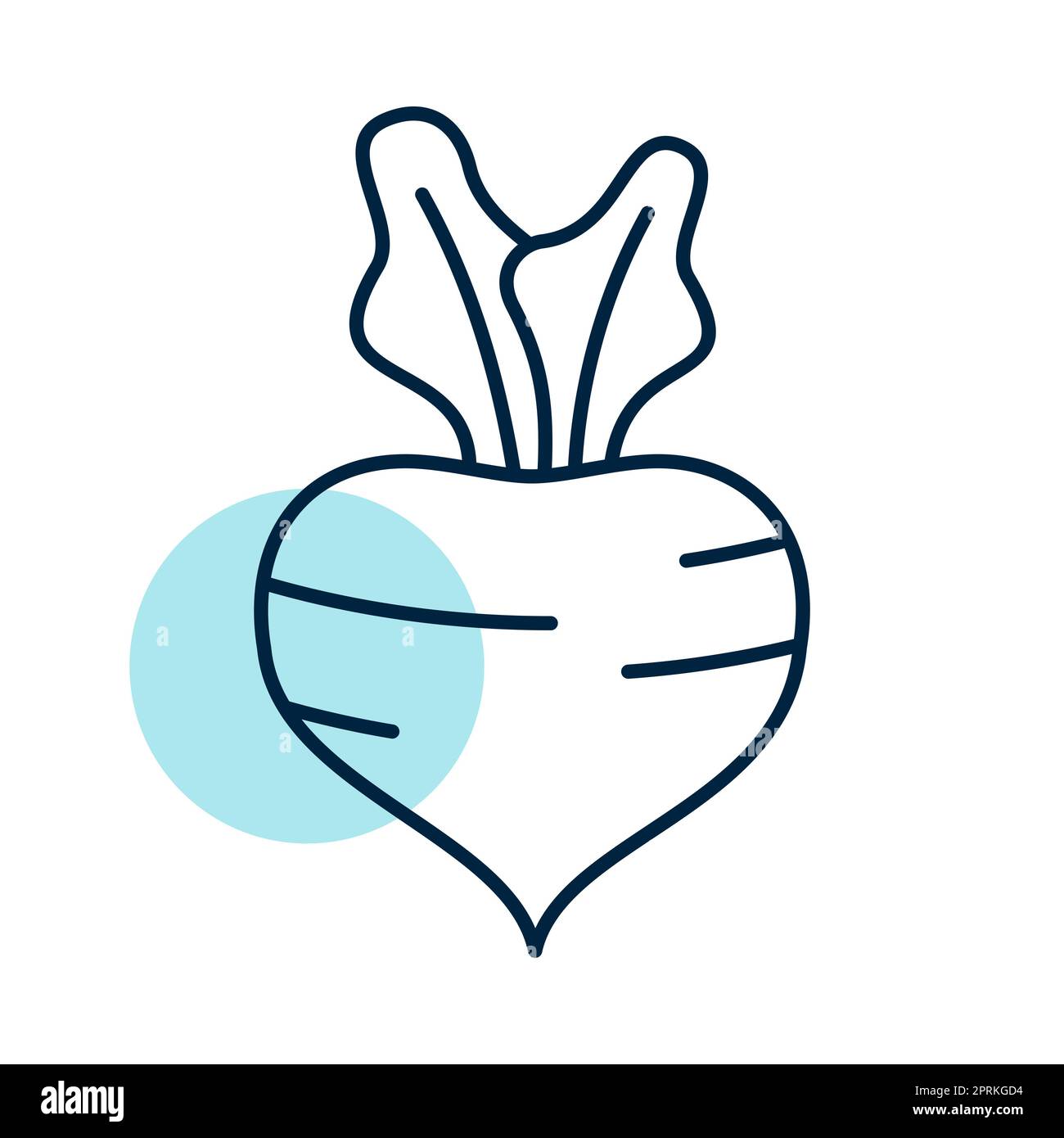Beetroot isolated vector icon. Vegetable sign. Graph symbol for food ...