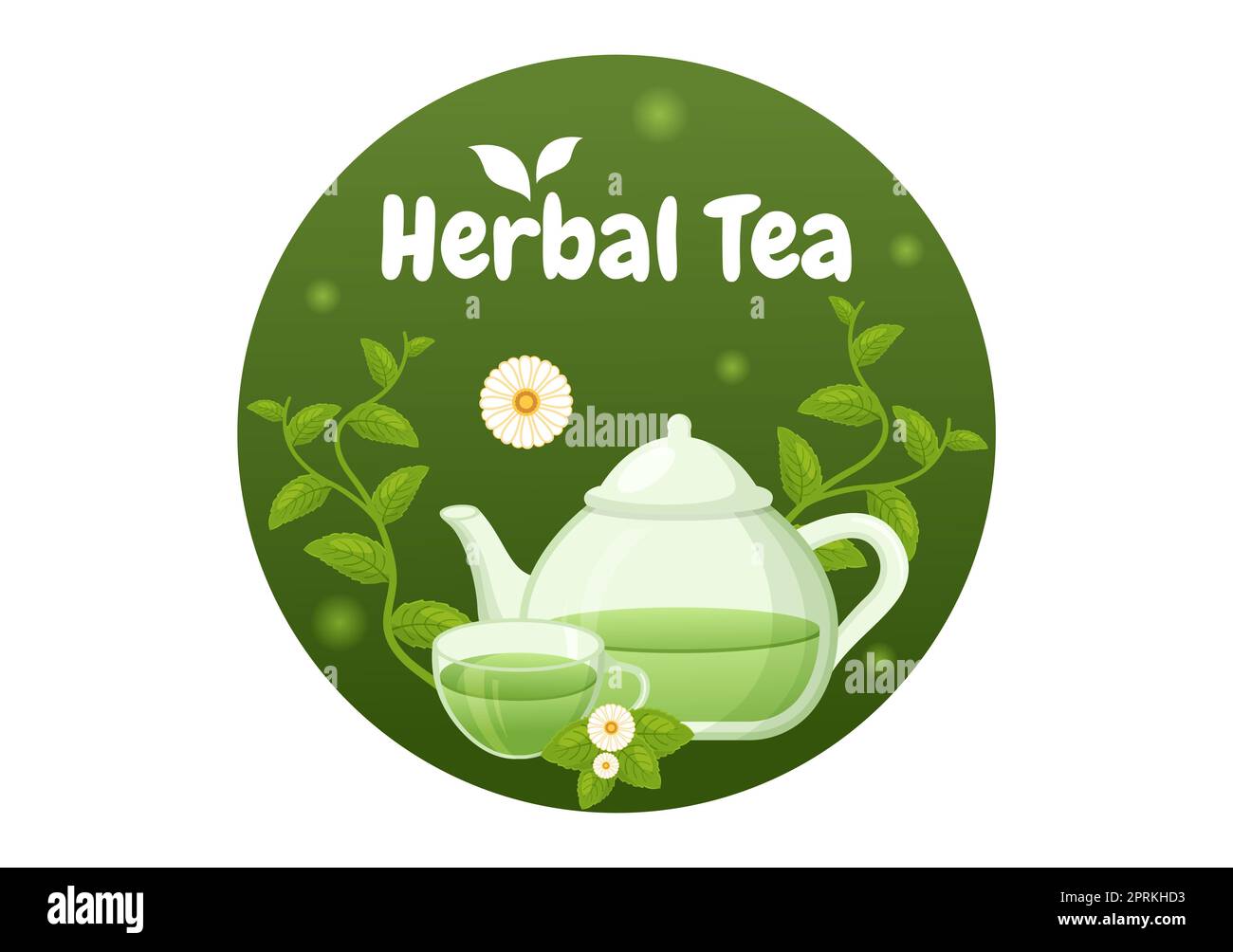 Herbal Tea with Chamomile Leaves of Health Drink Green to Increase ...