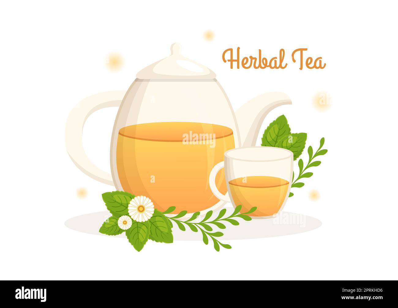 Herbal Tea with Chamomile Leaves of Health Drink Green to Increase ...