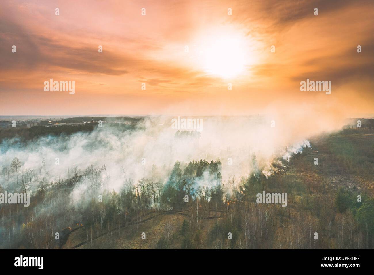 Aerial View. Spring Dry Forest Burns During Drought Hot Weather. Bush ...