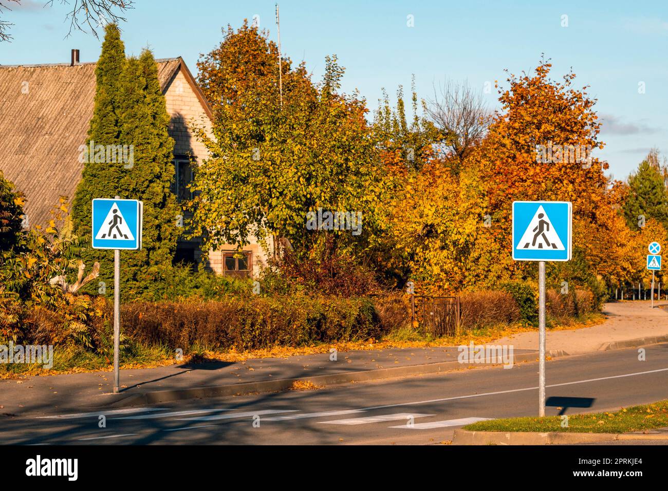 Pedestrian crossing traffic signs and zebra traffic walkway on the ...