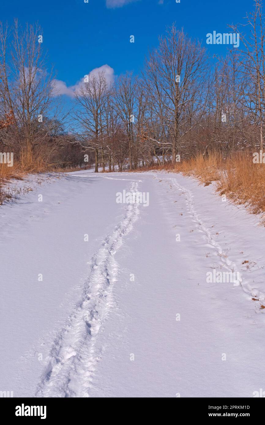 Crabtree nature center hi-res stock photography and images - Alamy
