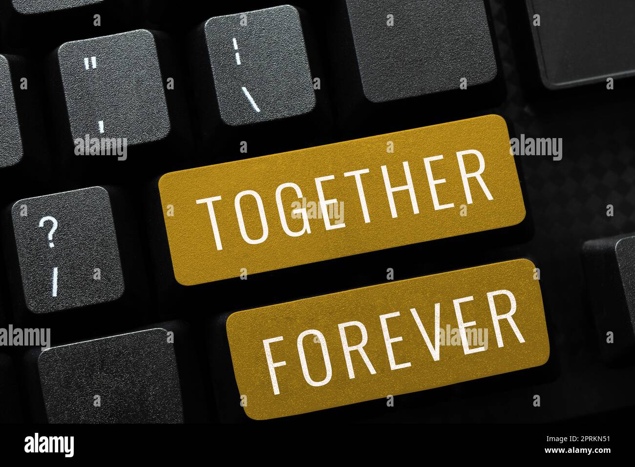 Text showing inspiration Together Forever, Word Written on learn ... Text showing inspiration Together Forever, Word Written on learn ...