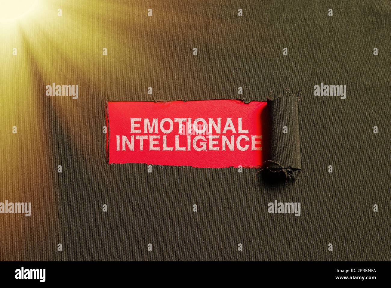 Conceptual caption Emotional Intelligence, Concept meaning capacity to ...