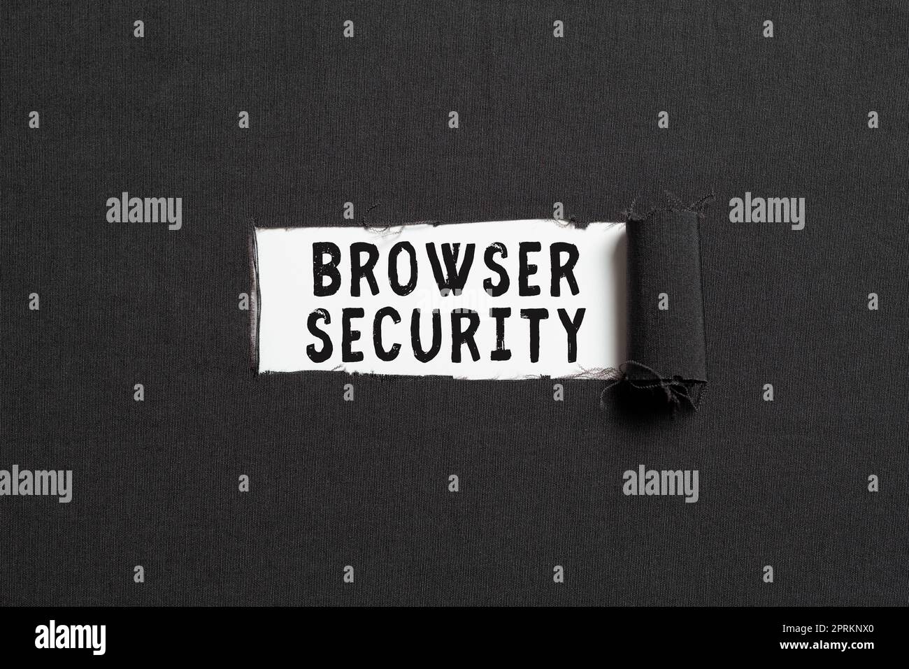 Writing displaying text Browser Security, Word for someone who analyzes ...