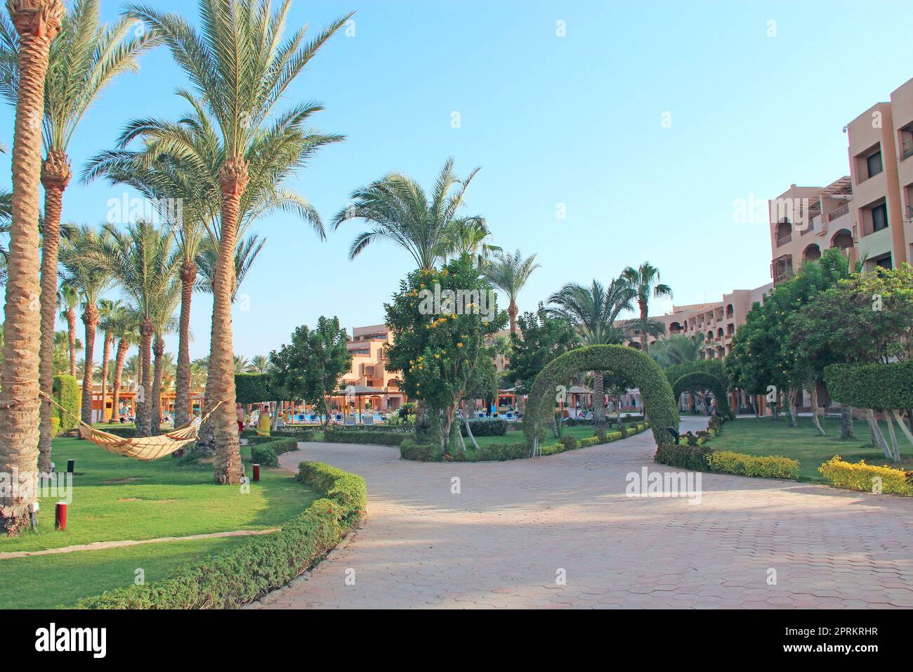 Grassy lawn among palm trees at resort in Egypt. Hotel with well ...