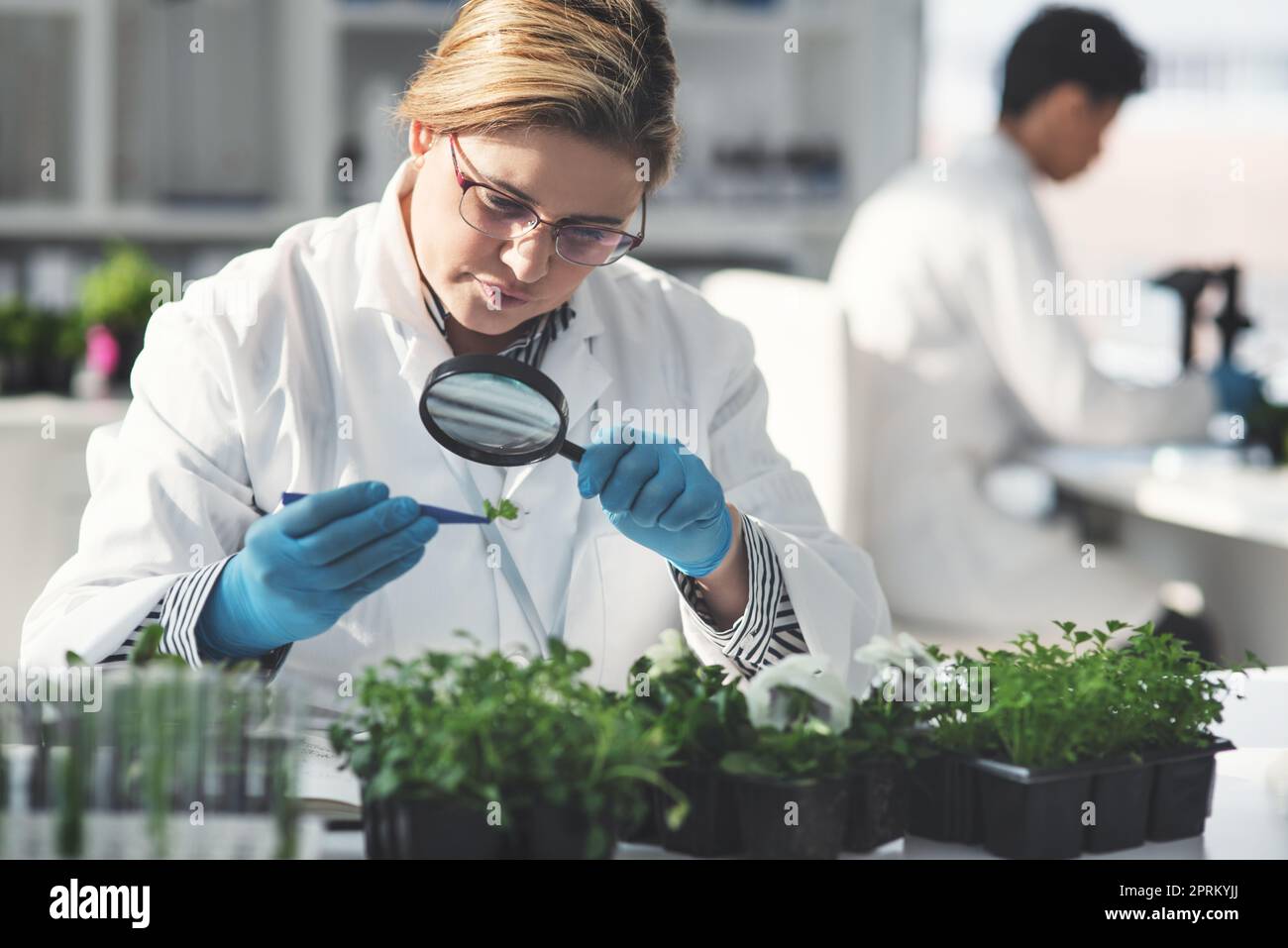 Real but looks like glass hi-res stock photography and images - Alamy