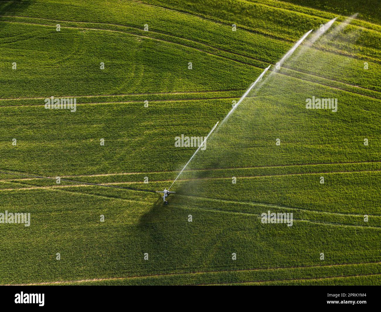 Farmland from above - aerial image of a lush green field being ...