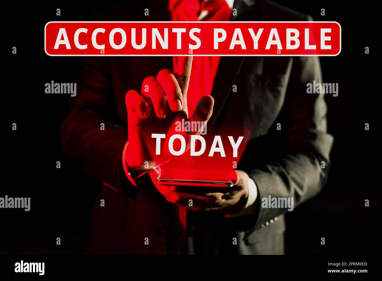 Text sign showing Accounts Payable, Business overview oversee and ...