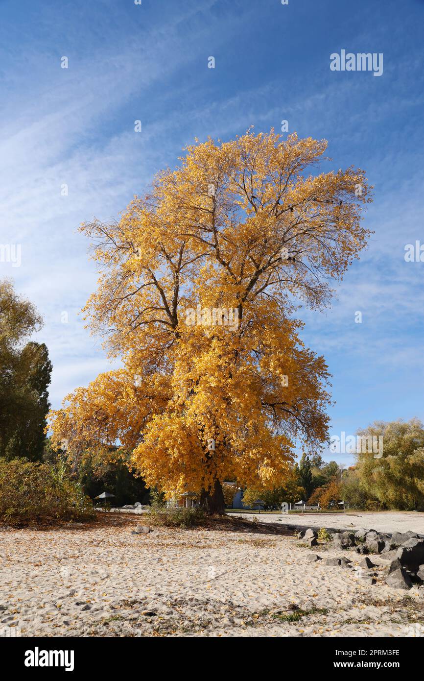 Beautiful autumn landscape with lake and multicoloral trees ...