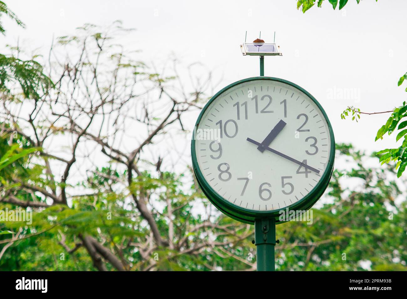 The green clock in the park is powered by the sun Stock Photo - Alamy