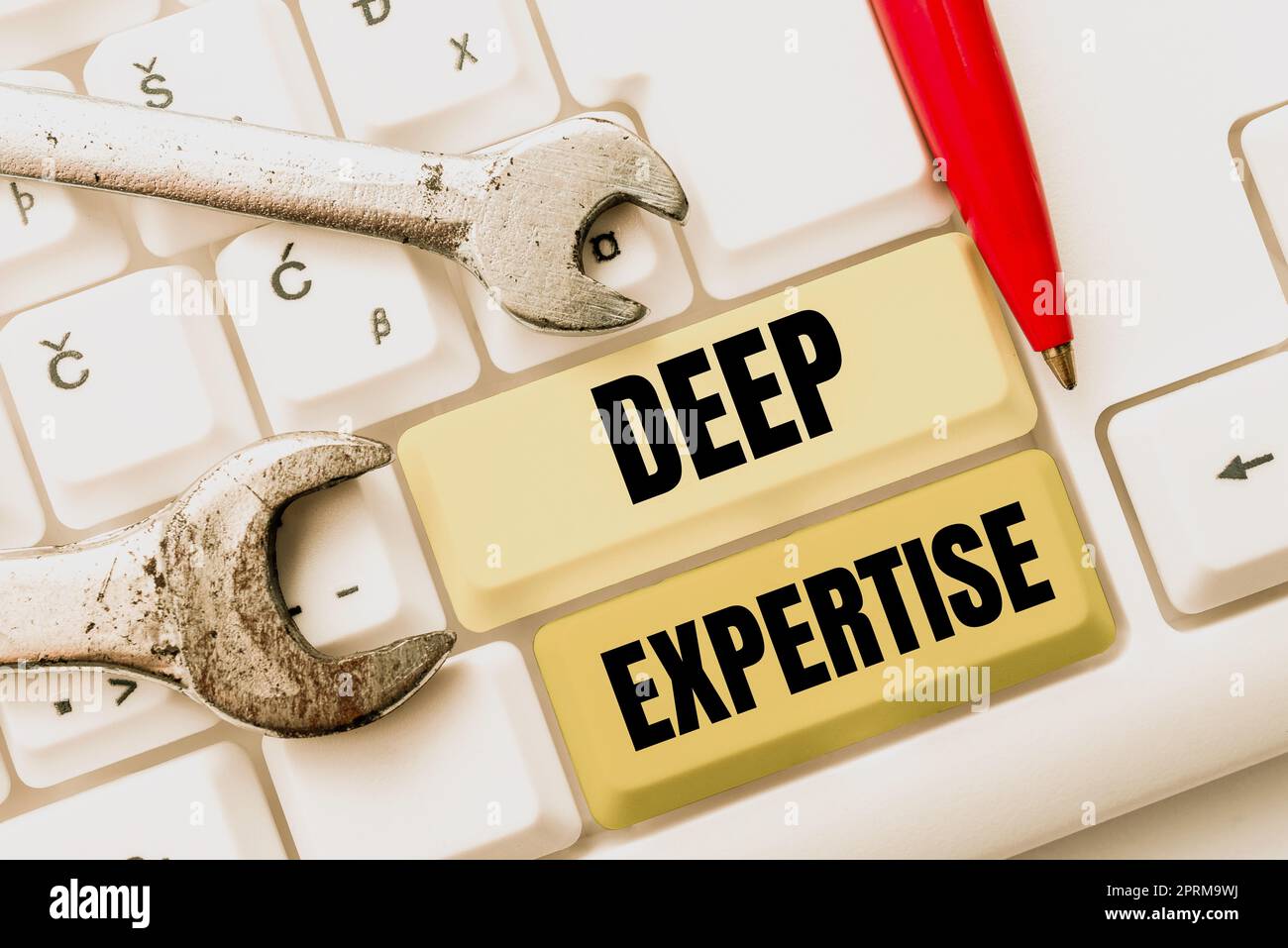 Text sign showing Deep Expertise, Business showcase A persuasive sales ...