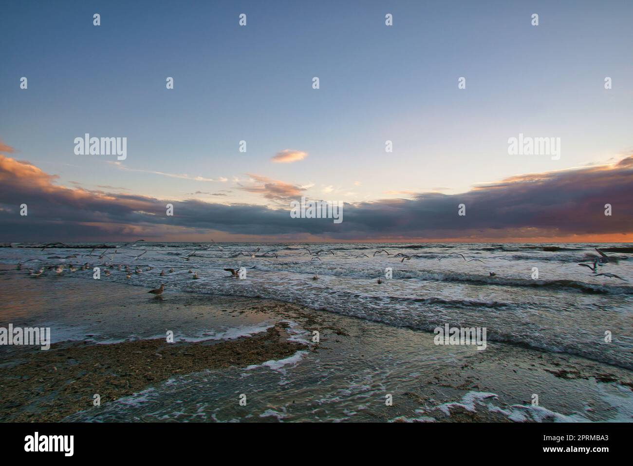 Sunset on the beach in Denmark. Waves rolling over the sand. Walk on ...