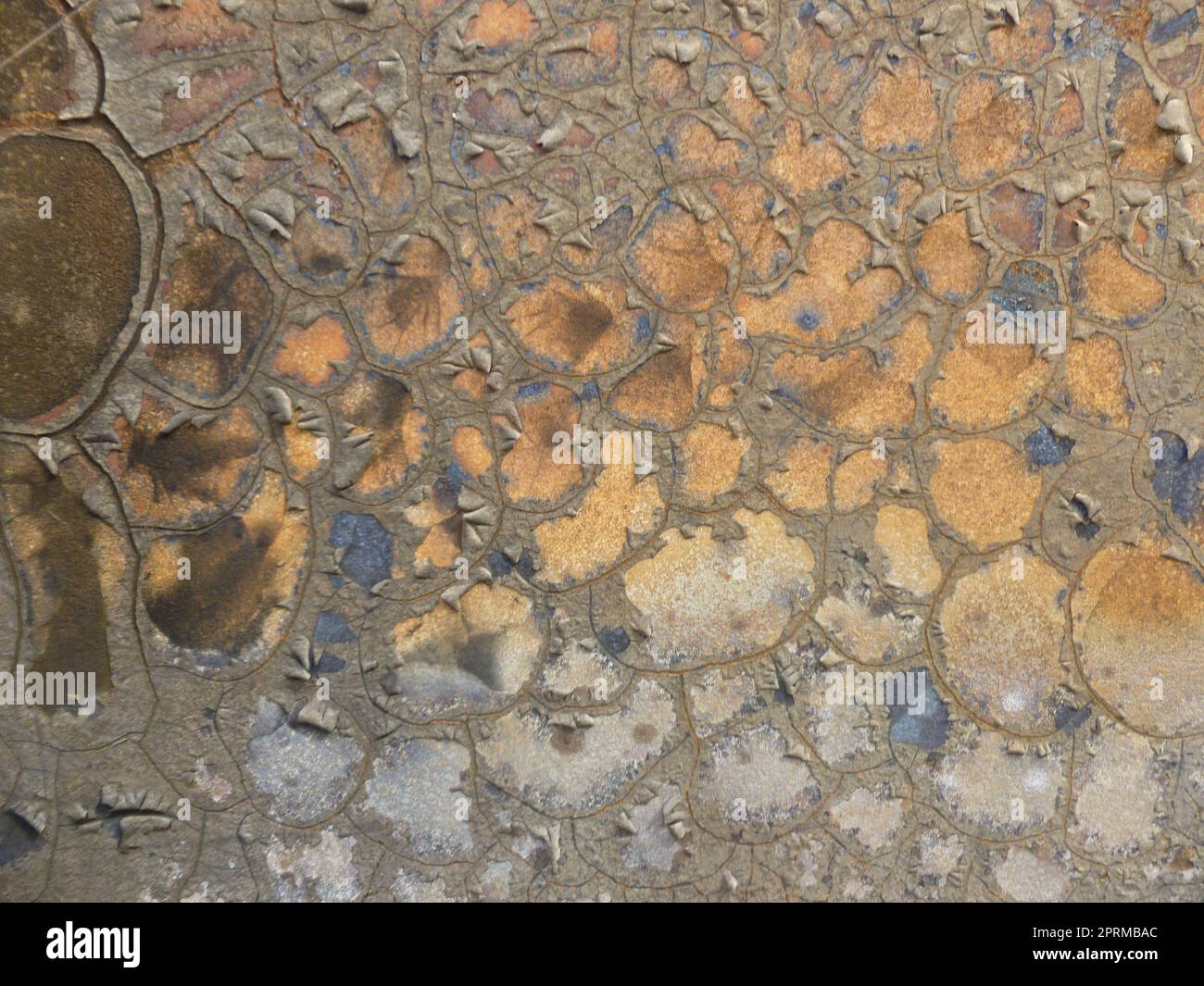 Texture of steel padded military the equipment Stock Photo - Alamy