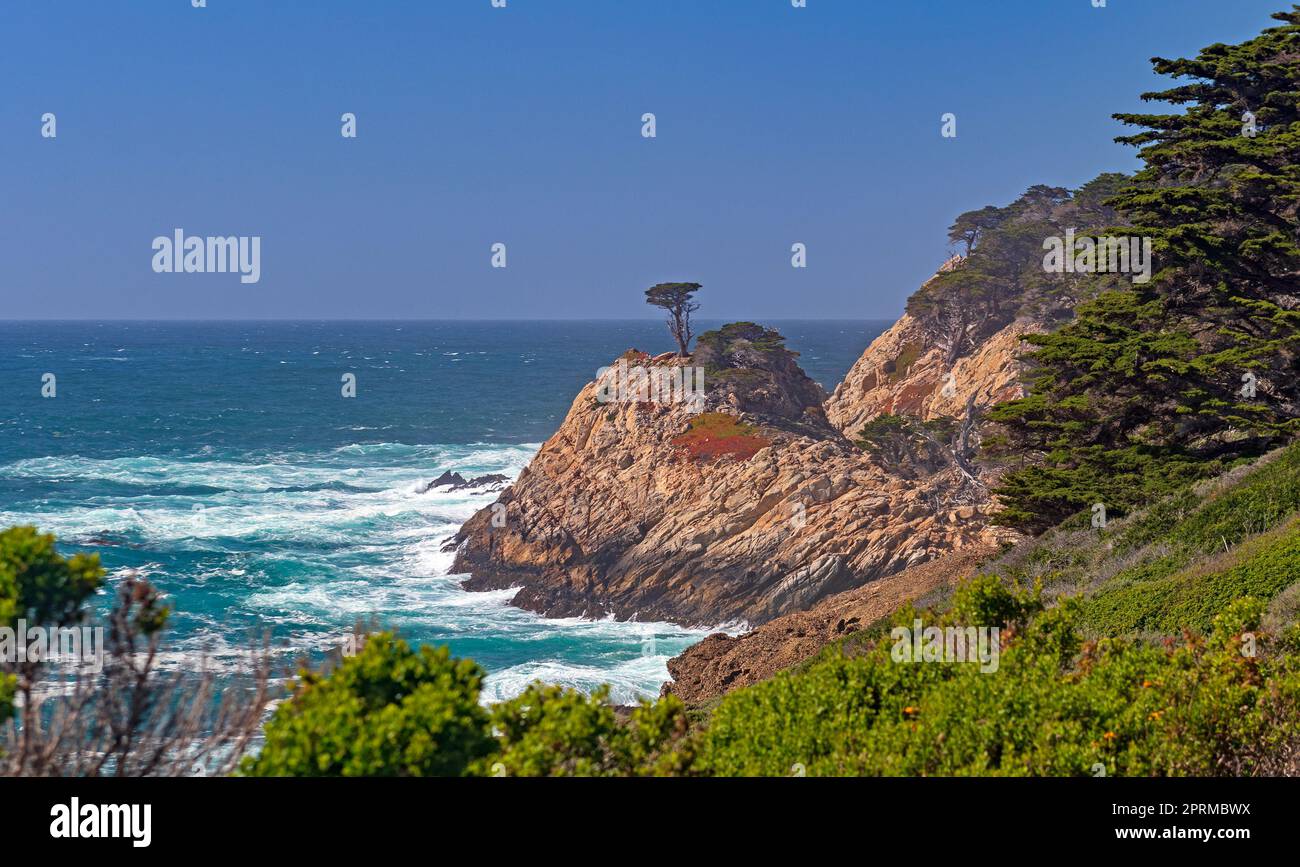 Monterey Cypress on a Rocky Coast at Point Lobos State Natural Reserve ...