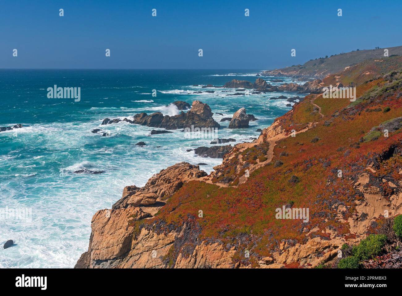 Spring Colors on a Rocky Coast at Andrew Molera State Park in California Stock Photo - Alamy