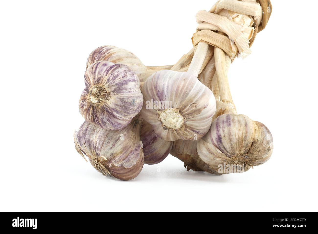 Braided garlic bulbs ready for storage isolated on white background ...