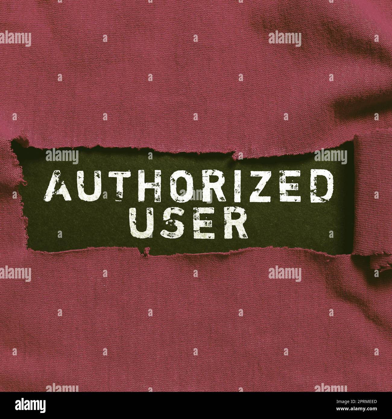 Conceptual caption Authorized User, Business approach create extra exact copies of files or ...