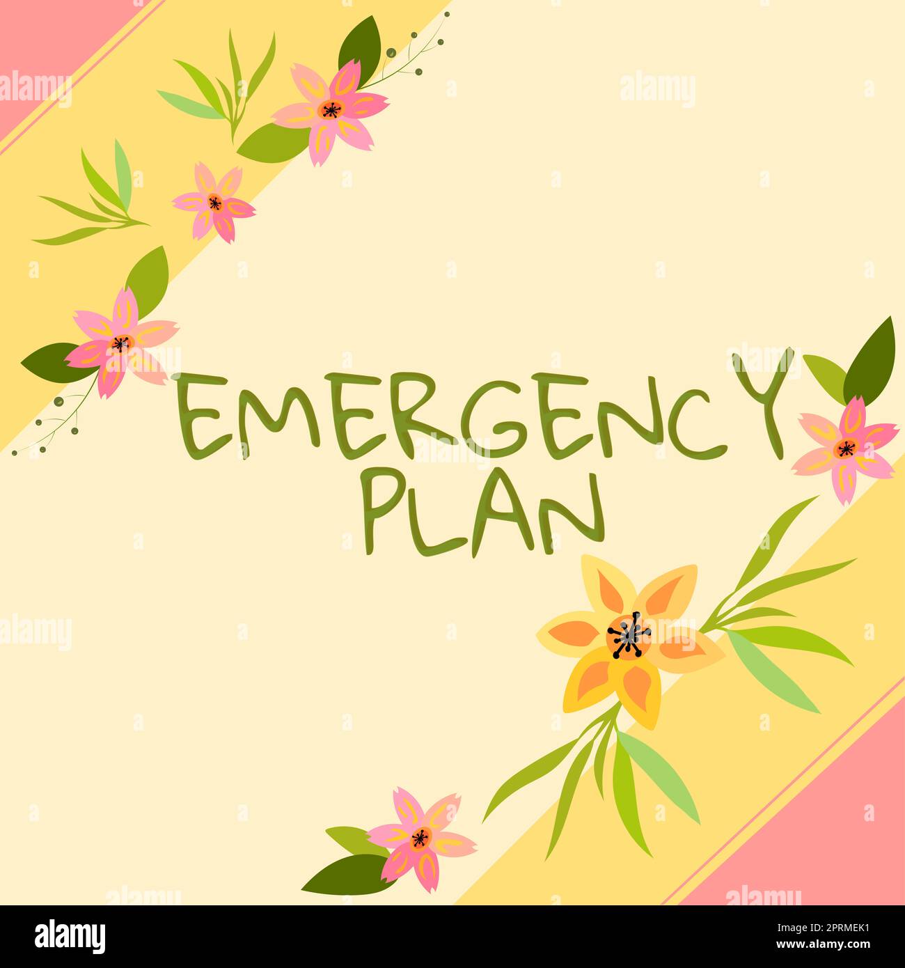 Text caption presenting Emergency Plan, Word for Additional ...
