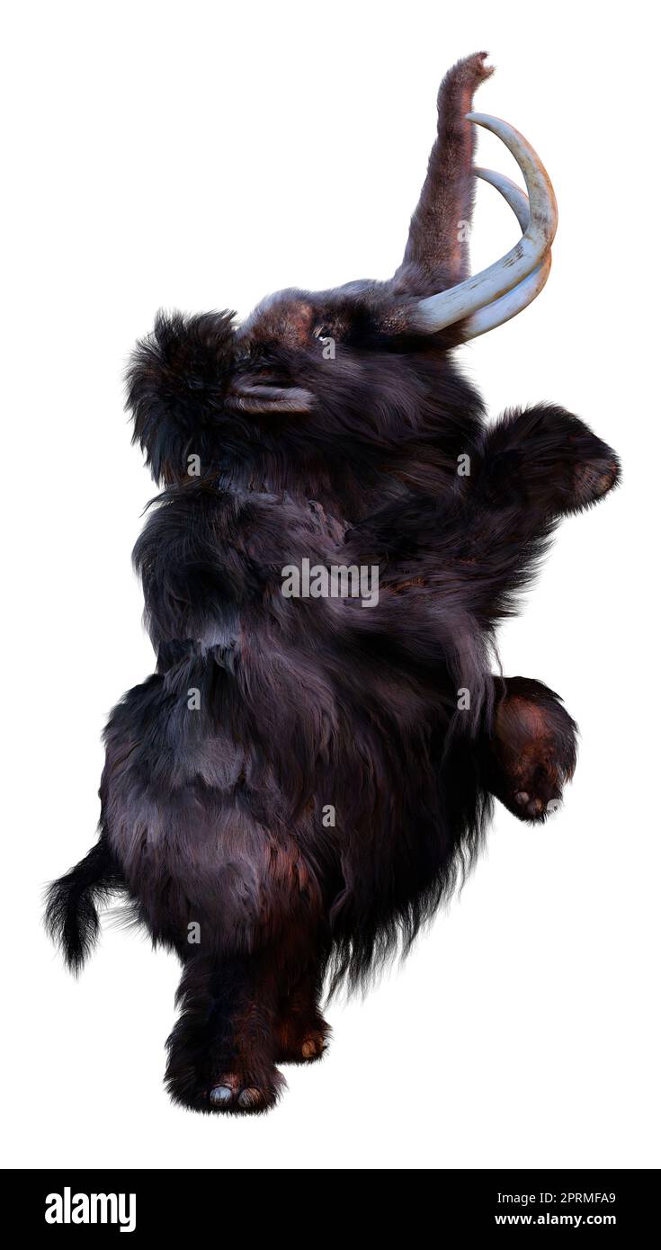 3D rendering of a woolly mammoth isolated on white background Stock ...