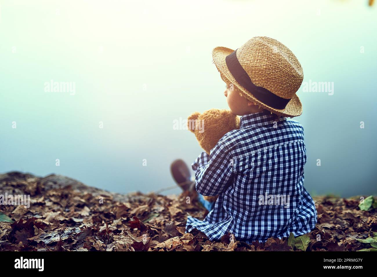Teddy makes me feel safe. a little boy sitting in the forest with his ...