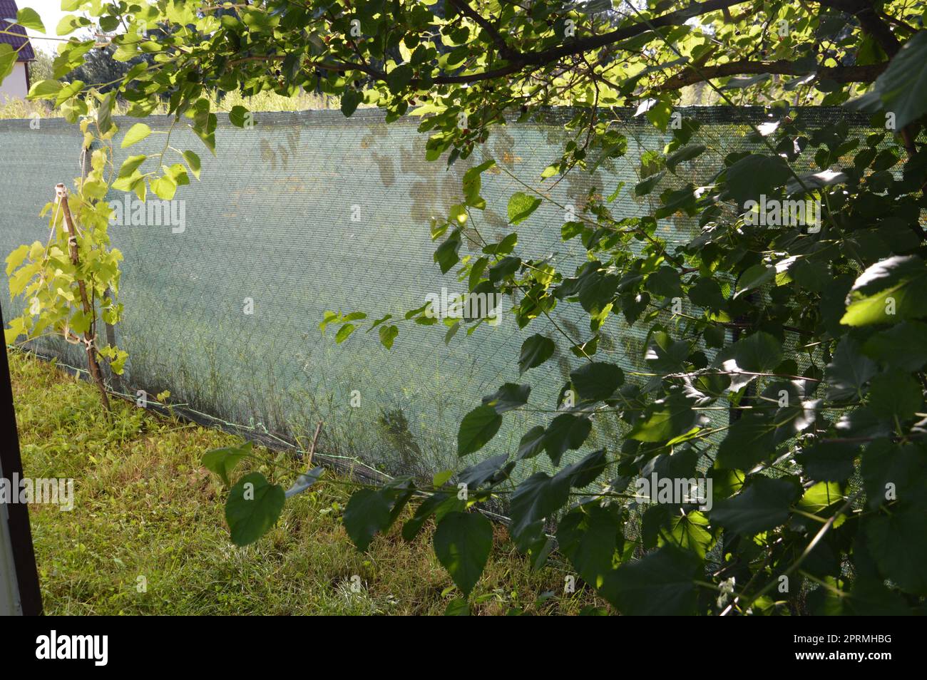 Installation of a shading net on a the chain-link fence Stock Photo - Alamy