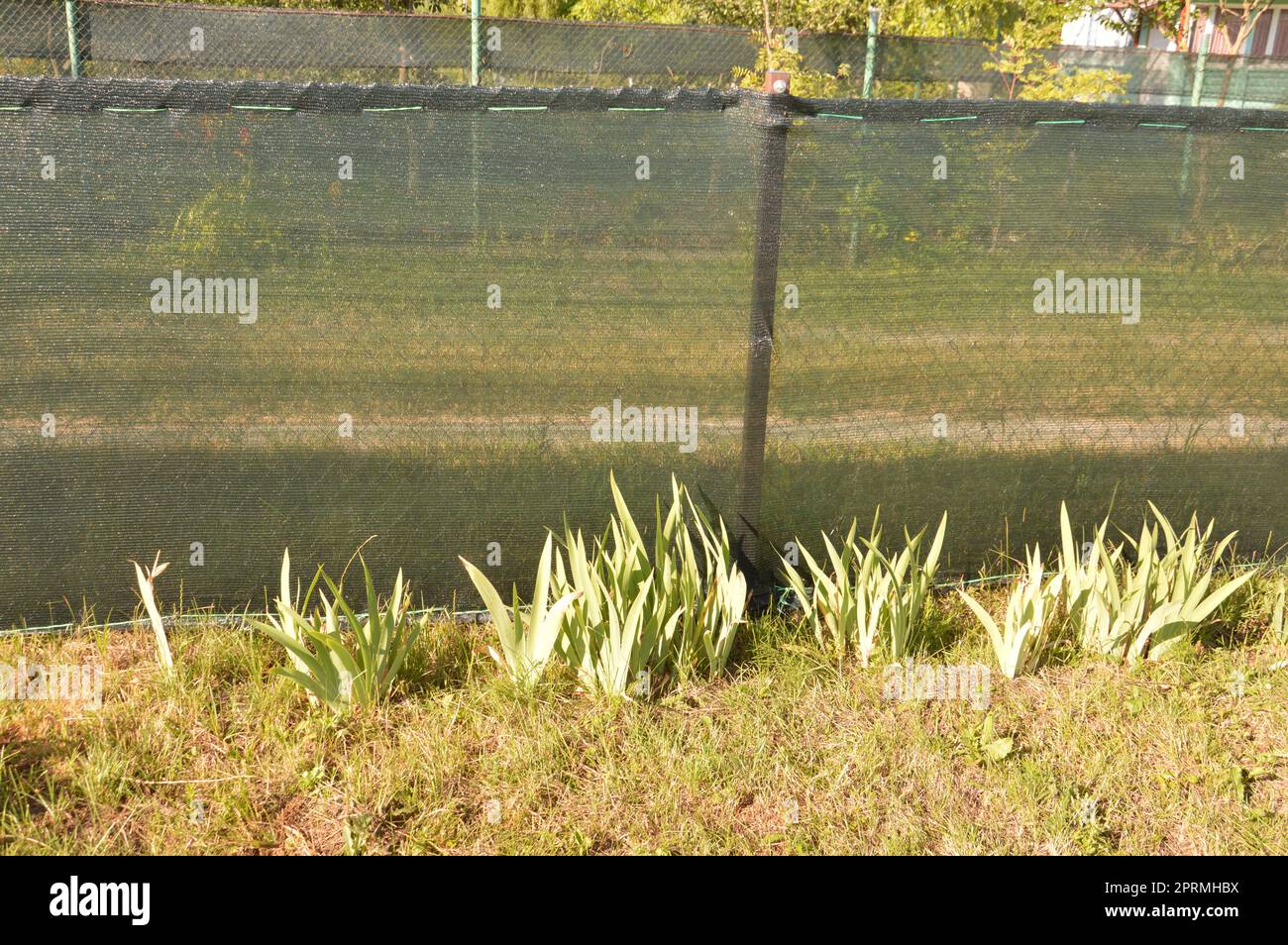 Installation of a shading net on a the chain-link fence Stock Photo - Alamy