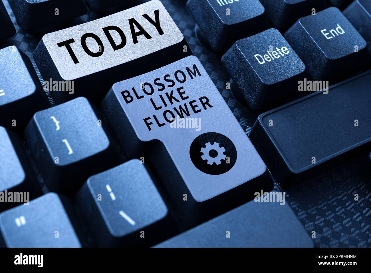 Writing displaying text Blossom Like Flower, Internet Concept person ...