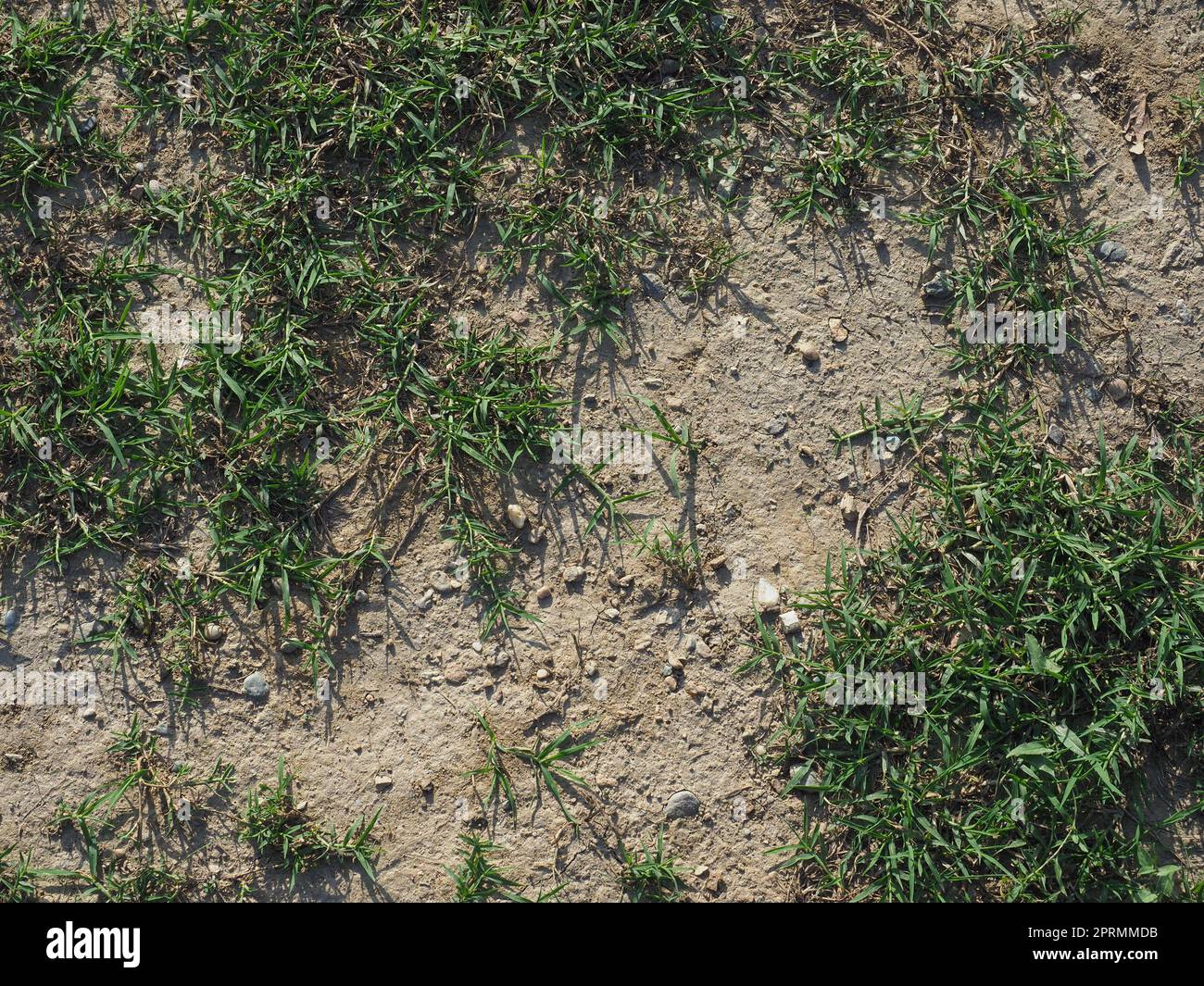 brown earth and grass texture useful as a background Stock Photo - Alamy
