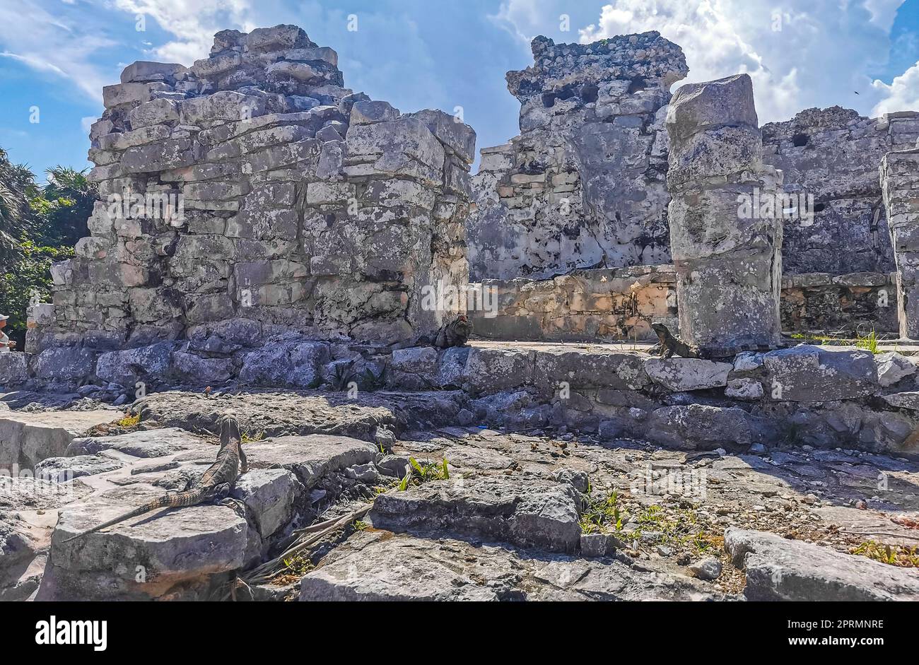 Ancient Tulum ruins Mayan site temple pyramids artifacts seascape ...