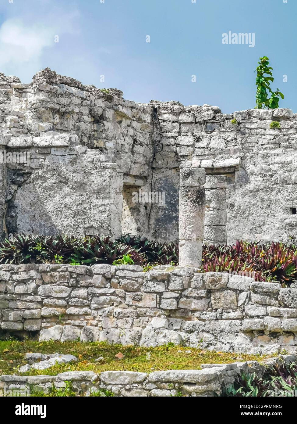 Ancient Tulum ruins Mayan site temple pyramids artifacts seascape ...
