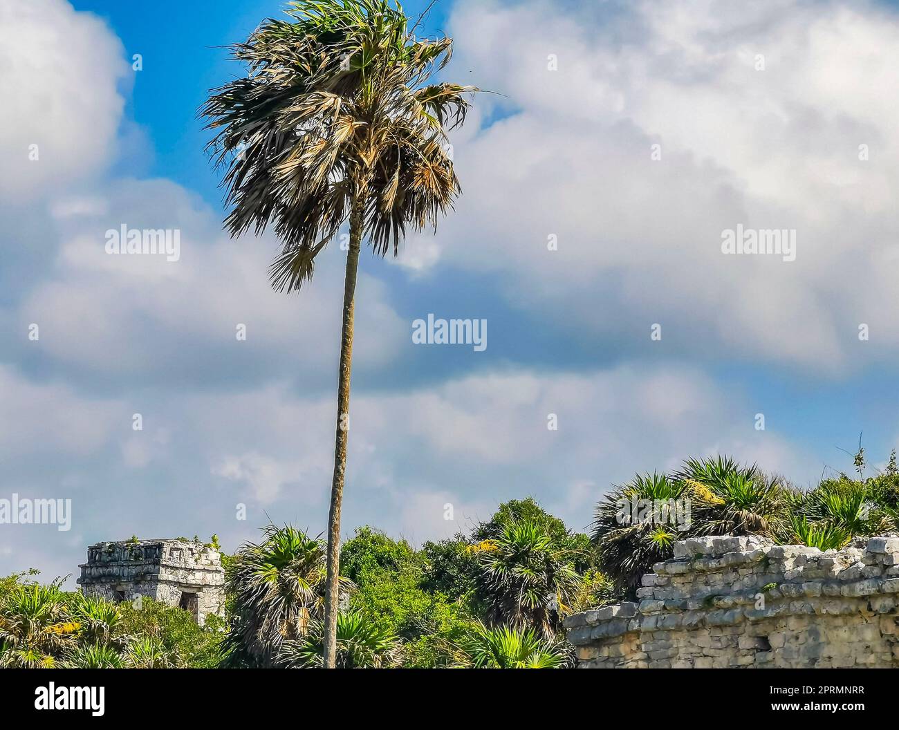 Ancient Tulum ruins Mayan site with temple ruins pyramids and artifacts ...