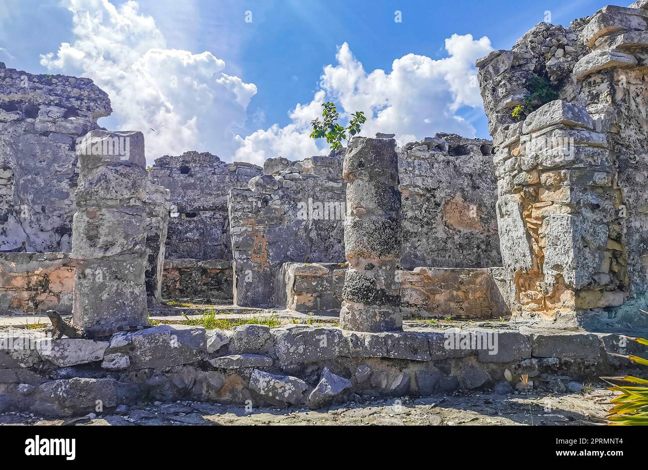 Ancient Tulum ruins Mayan site temple pyramids artifacts seascape ...