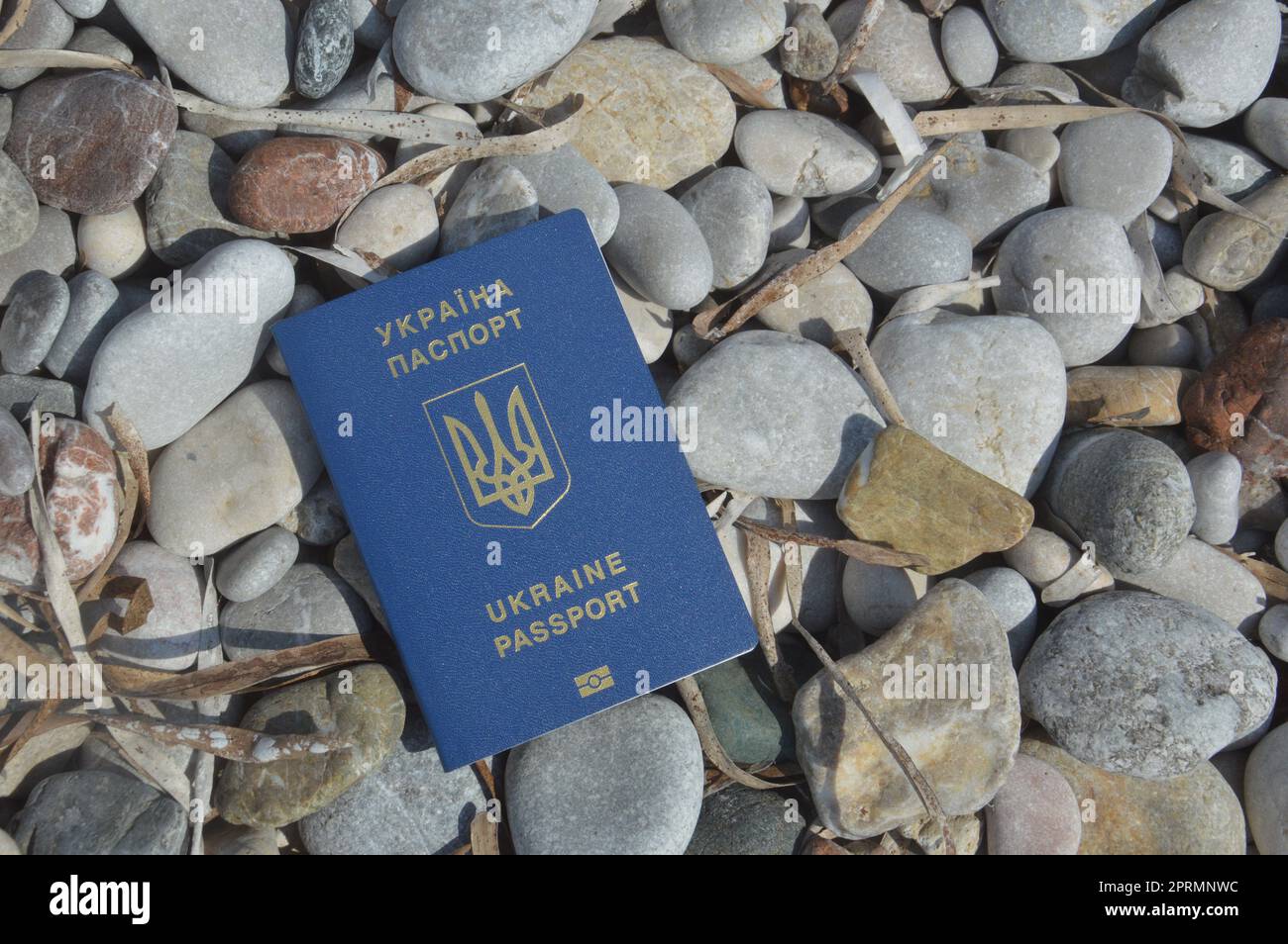 International passport of a the citizen of Ukraine for travel Stock ...