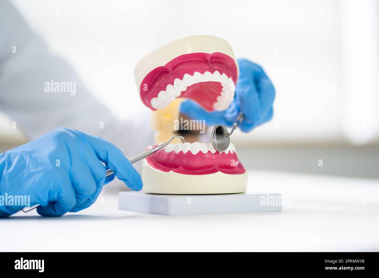 Teeth Care And Dentistry Model Stock Photo - Alamy