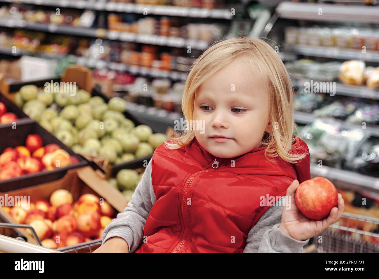 Adorable toddler girl sitting in shopping cart in food fruit store or supermarket. Portrait ...