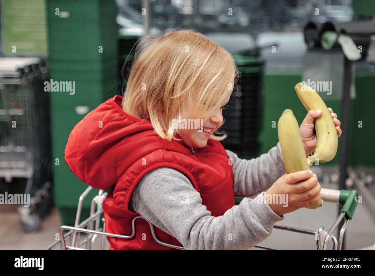 Adorable toddler girl sitting in shopping cart in food fruit store or ...