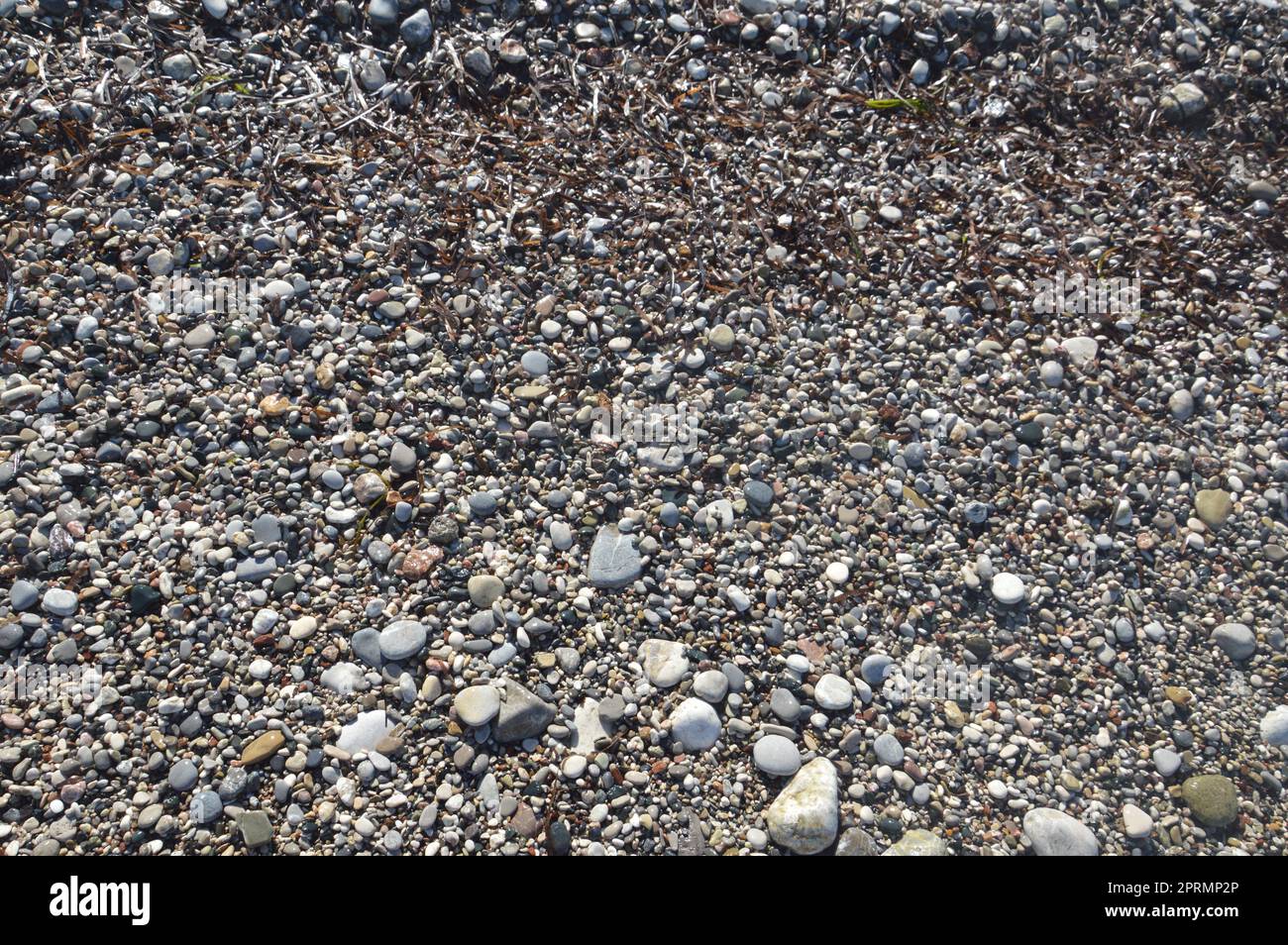 Pebble texture on a the Aegean coast in Greece Stock Photo - Alamy