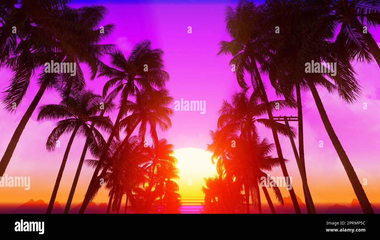 Coconut Tree Plant On Summer Village Stock Photo - Alamy