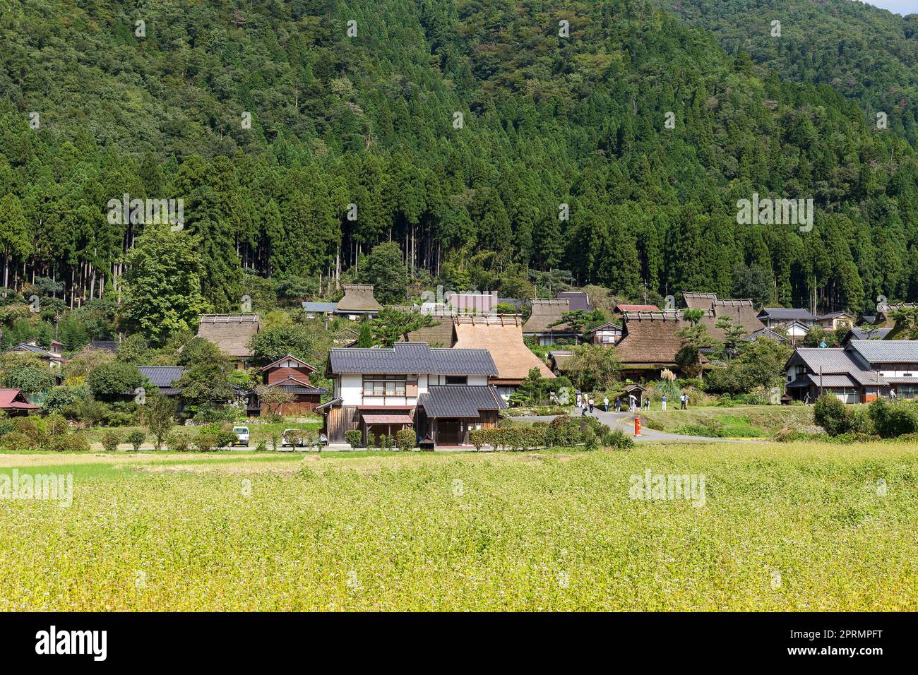 Rural landscape of Historical village Miyama in Kyoto, Japan Stock ...